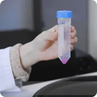 Single Cells from FFPE samples » Fast Forward Discoveries