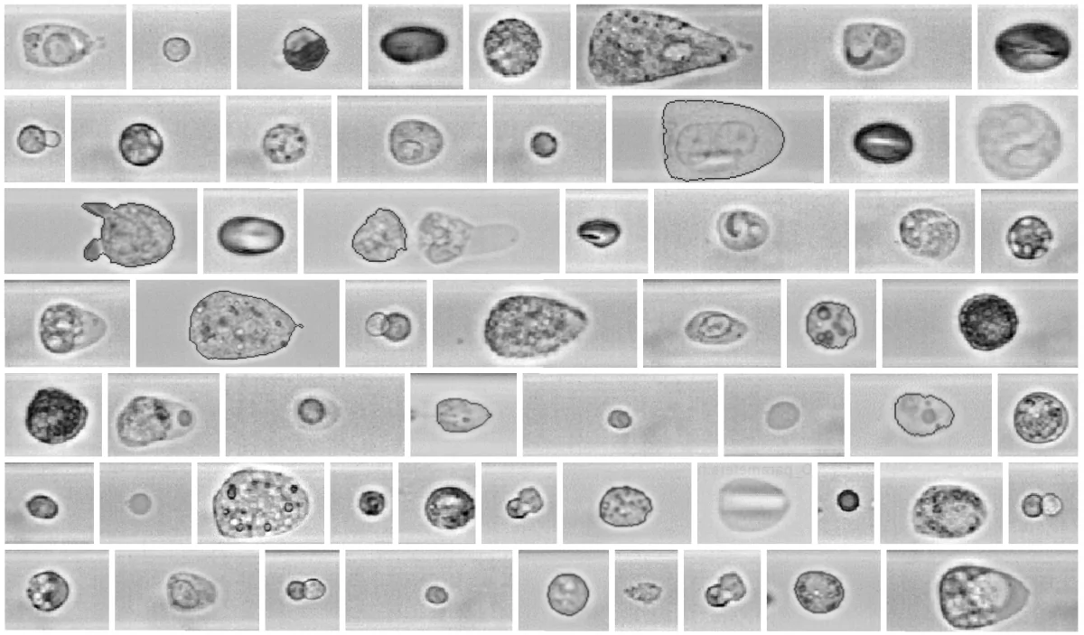 Deformability Cytometry of Tissue with TissueGrinder
