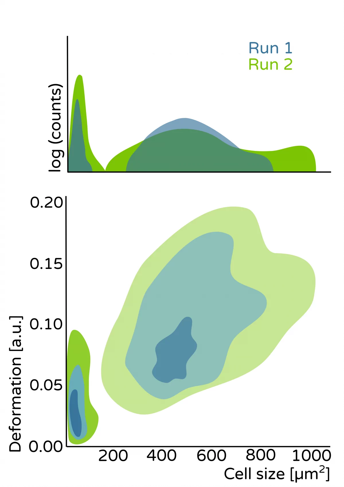 Primary Hepatocyte Isolation Without Enzymes | TissueGrinder